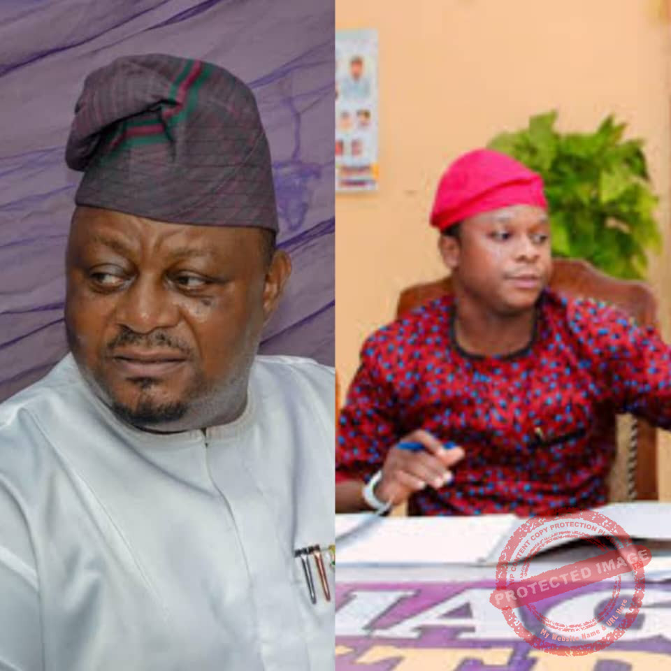 Prince Falana Adebowale Celebrates Hon Adeyinka Kazim Bibire On His ...